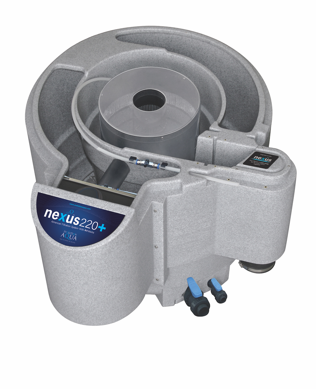 Nexus 220 Plus - Quality Nishikigoi, Japanese Koi For Sale